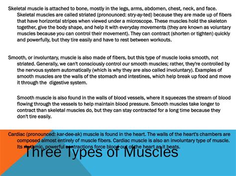 Ppt Muscles Powerpoint Presentation Free Download Id2062070