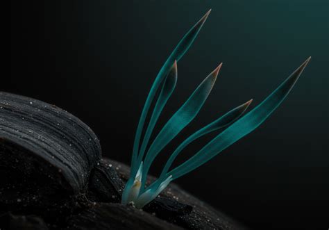 Organisational System Dynamics → Fundamentals