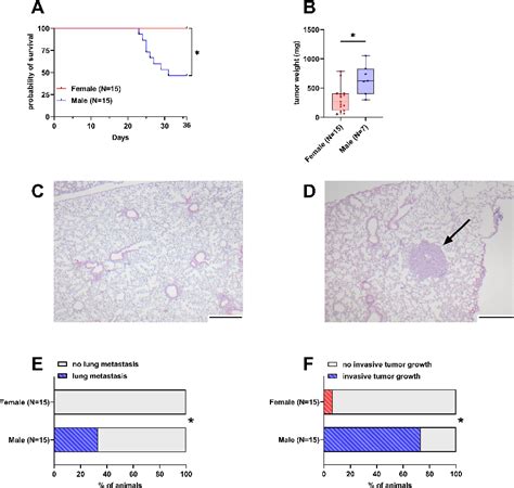 Figure 1 From Sex Mattersinsights From Testing Drug Efficacy In An