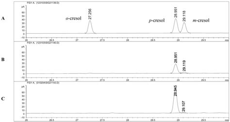 Gc Chromatogram Of A Mixture Of O Cresol P Cresol And M Cresol