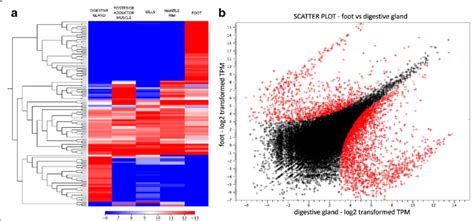 Panel A Euclidean Distance Based Hierarchical Clustering Calculated