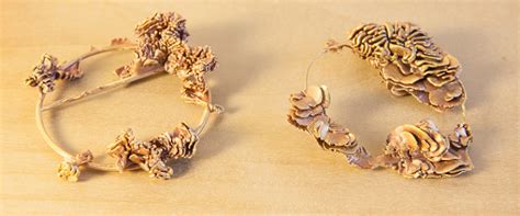 Laplacian Growth Matt Ebb