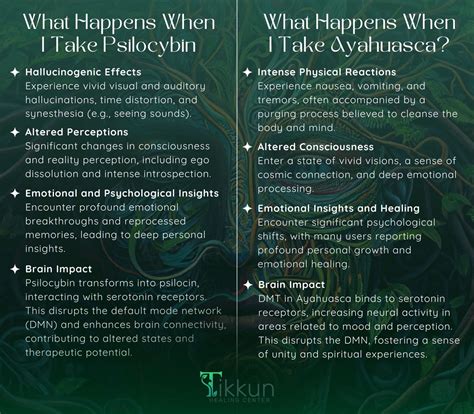 Psilocybin Vs Ayahuasca Psychedelics Differences Benefits And Risks