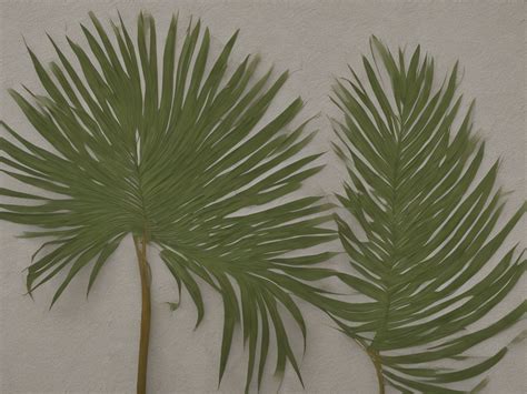 How To Fold A Palm Cross