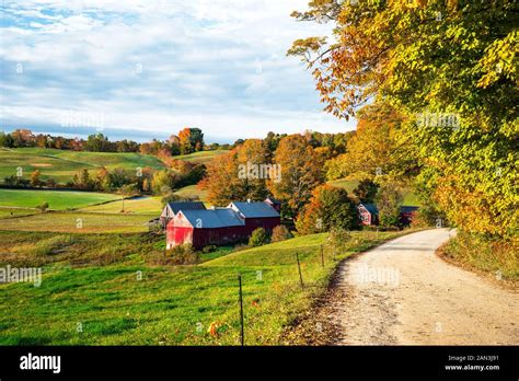 Autumn Road Farm