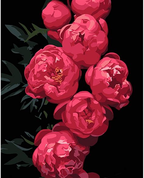 Набір для розпису по номерах Strateg Рожеві півонії на чорному фоні 40х50 см Ah1035