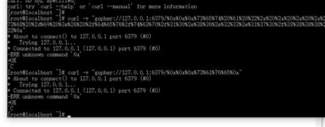 Ssrf Gopher协议反弹shell Windecode 博客园 Ssrf Gopher协议反弹shell Windecode 博客园