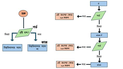 ৪১ Conditional Statements Programming For Bioscience