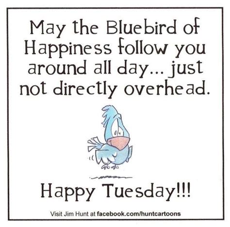 Funny Tuesday Work Quotes
