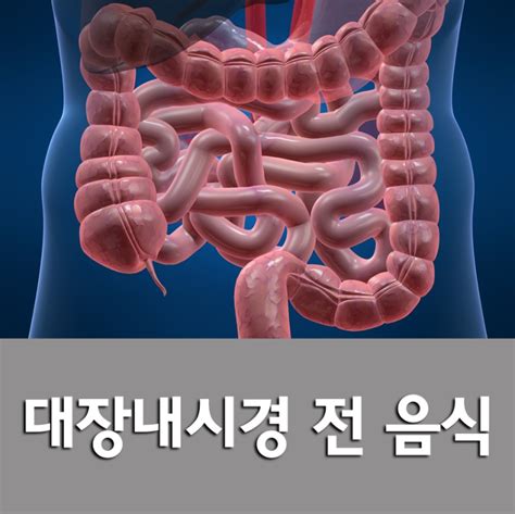 대장내시경 전 음식 주의사항 총정리 네이버 블로그