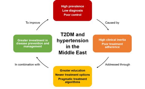 Key Challenges And Recommendations For The Management Of Type 2 Download Scientific Diagram