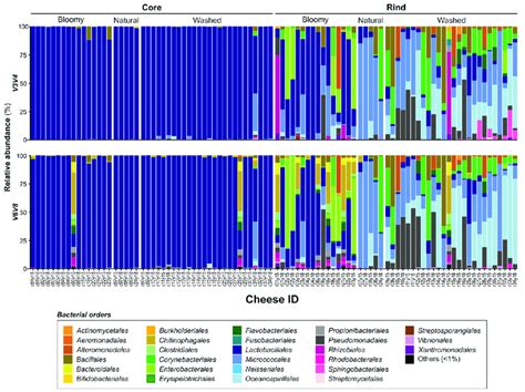 16s Rdna Là Gì Khám Phá Công Cụ Phân Tích Vi Khuẩn Hiệu Quả