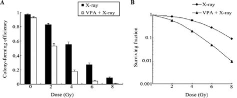 Clonogenic Assay At Various Doses A Results From The Clonogenic Download Scientific Diagram