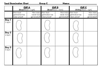 Seed Stratification Chart