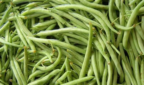 Beans Vegetable Definition And Top Benefits Through Beans