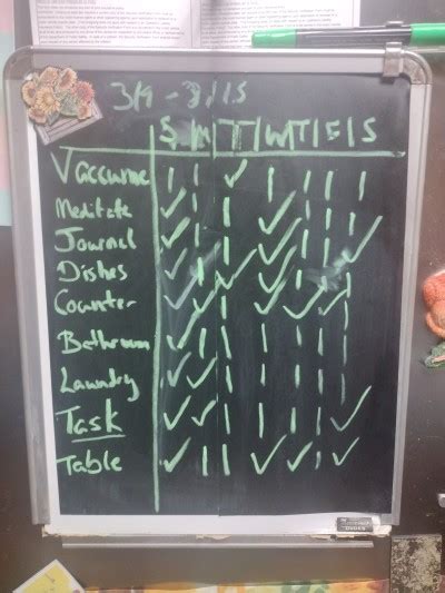 Behold The Chore Chart My Tracker Ect Goals For Tumbex