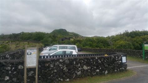 Pico Images Vacation Pictures Of Pico Azores Tripadvisor