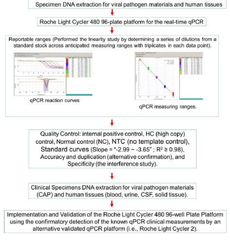 Overall Schematic Diagram Representing The Workflow Download