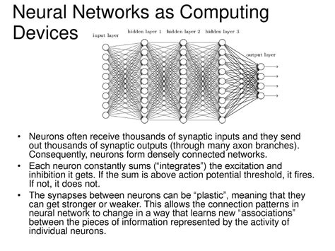 Ear And Brain Prof Jan Schnupp Ppt Download