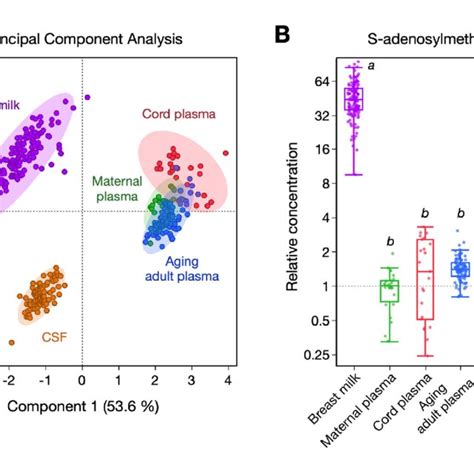 One−carbon Metabolite Profiling In Biofluids And Milk Formula