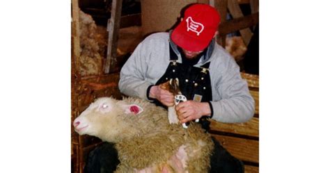 Проблемите при идентифицирането на животни под селекционен контрол обсъждаха в БАБХ Български