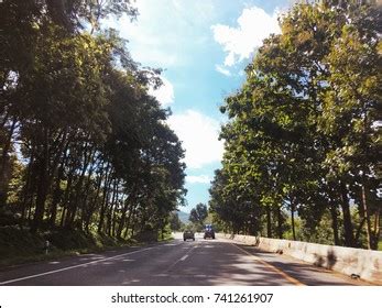 Highway Trees Both Side Road Trip Stock Photo 741261907 Shutterstock