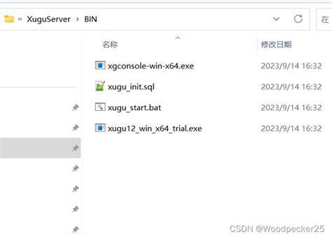 虚谷数据库单安装部署单机版（windows系统、linux系统）虚谷数据库 Rowid Csdn博客