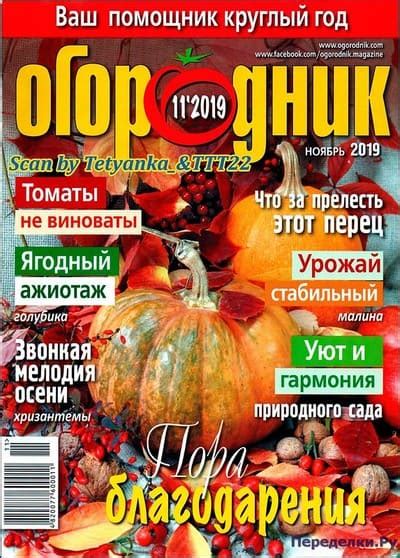 ОГОРОДНИК 11 НОЯБРЬ 2019 * Переделки.РуПеределки.Ру