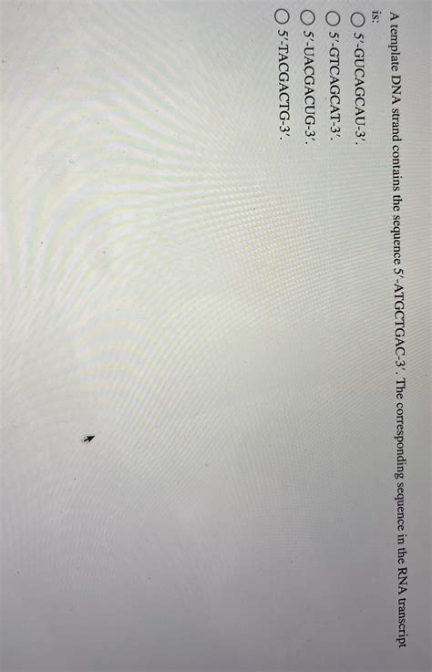Solved A Template Dna Strand Contains The Sequence 5