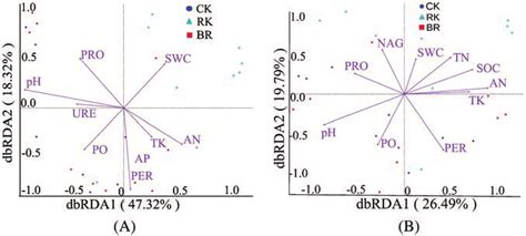 Distance Based Redundancy Analysis Dbrda Analysis Between Bacterial