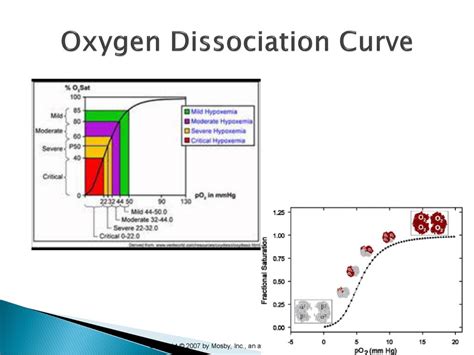 Chapter 7 Foundation Skills Ppt Download