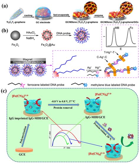Recent Advances In Functionalization Strategies For Biosensor