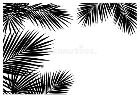 Palmsilhouette Stock Illustrations 11 Palmsilhouette Stock