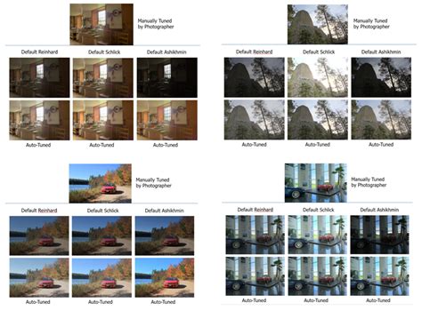 Perceptual Tone Mapping