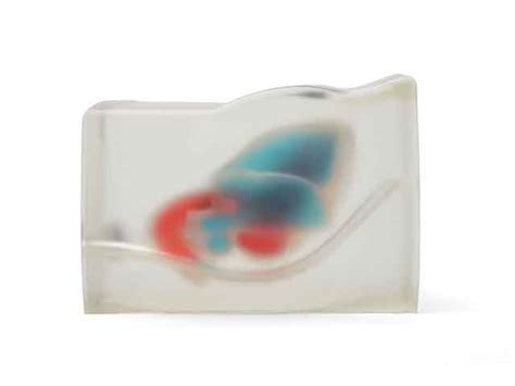 Cardiac Echo Ultrasound Training Model Bt