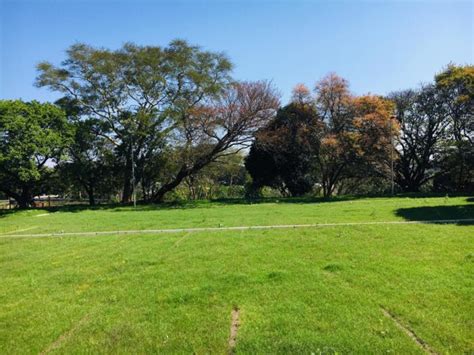 Evangrass Expert Tips For Newly Planted Grass