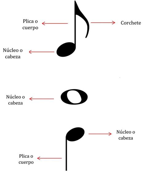 Partes De Una Nota Musical