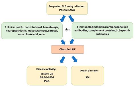Advances In The Pathogenesis And Treatment Of Systemic Lupus Erythematosus