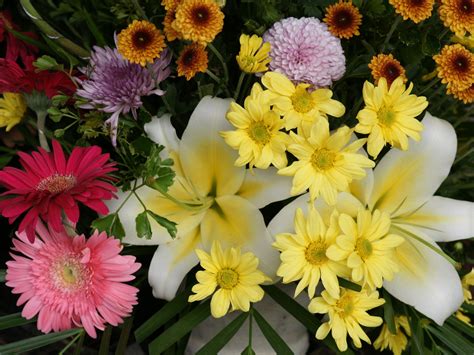 Best 10 Beautiful Flowers At Floyd Hall Blog
