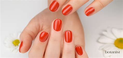 How Gel Manicures Can Damage Your Nails Botanist