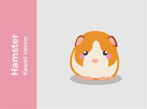 2d Hamster Vectors And Illustrations For Free Download
