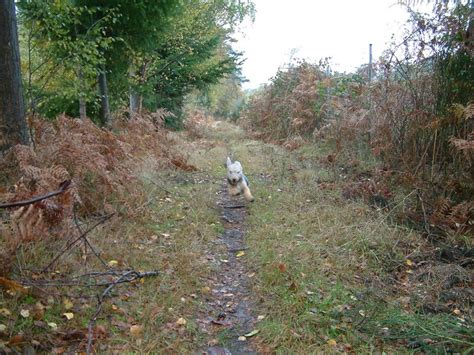 Foxy2 10 Servimg Com Free Image Hosting Service