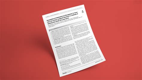 Tls Detection And Scoring For Cancer Immunotherapy Explicyte Immuno Tls Detection And Scoring For Cancer Immunotherapy Explicyte Immuno