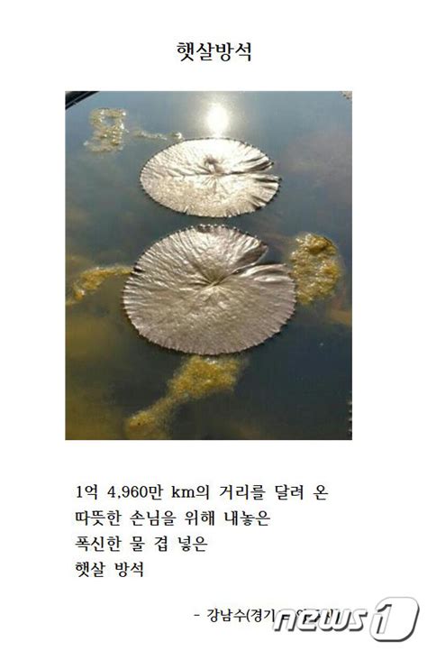 오장환디카시신인문학상에 강남수씨당선작 햇살방석