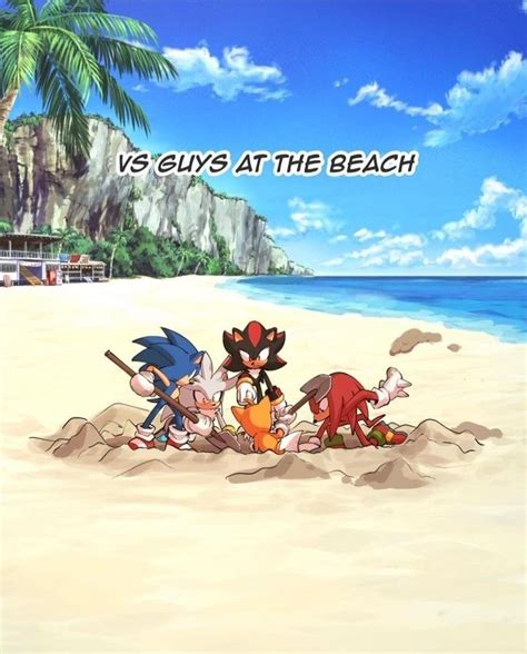 Sonic And Tails Playing On The Beach