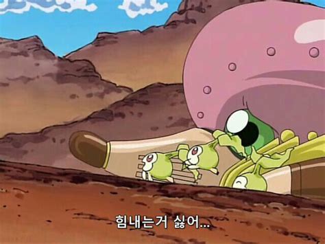 인생이 짜증날때 보면 좋은 짤 모음  인스티즈 Instiz 이슈 카테고리