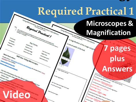 Ib Biology Require Practical 1 Microscopes And Magnification Guide Teaching Resources
