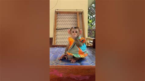 Bro Max Waiting His Mom Youtube