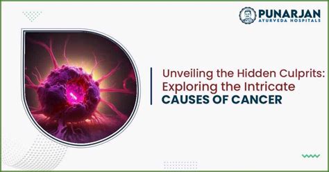 Exploring The Intricate Causes Of Cancer