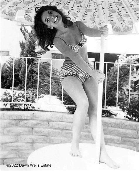 Dawn Wells Beautiful Female Celebrities Beautiful Celebrities Tina